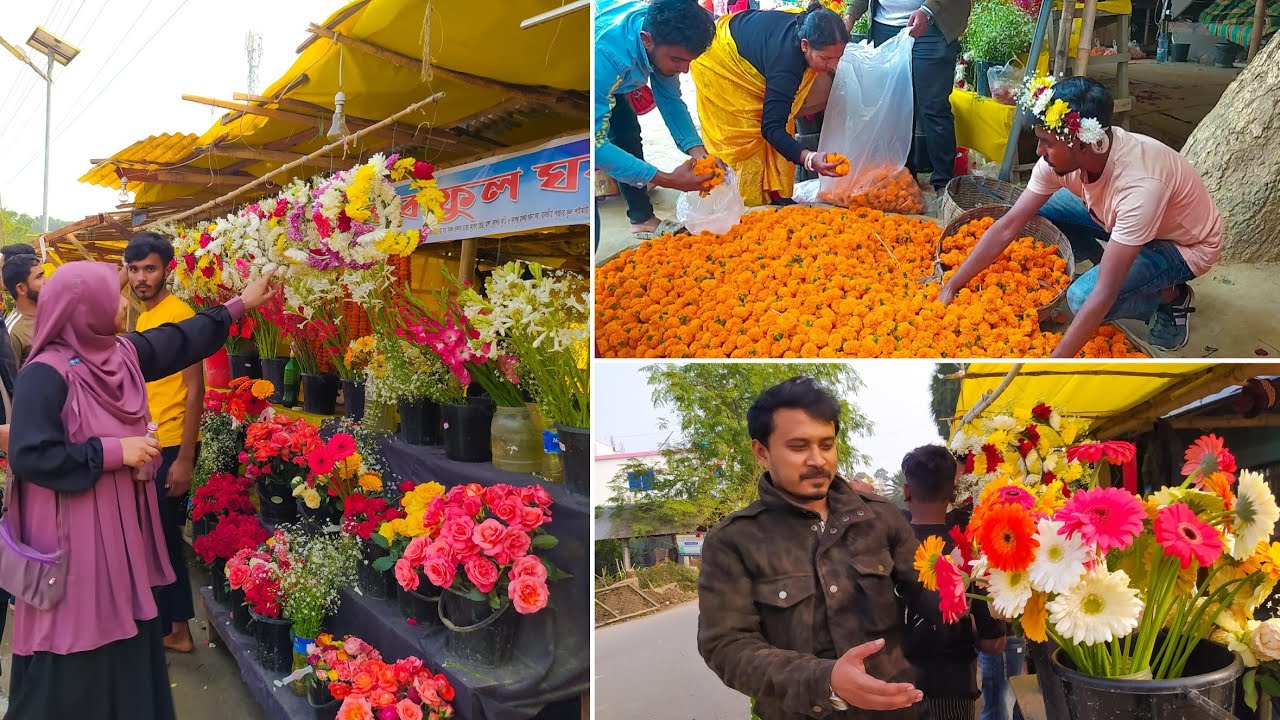 যশোর গদখালী ২০২৫ | Godkhali Flower Garden | Godkhali Jessore 2025 - YouTube