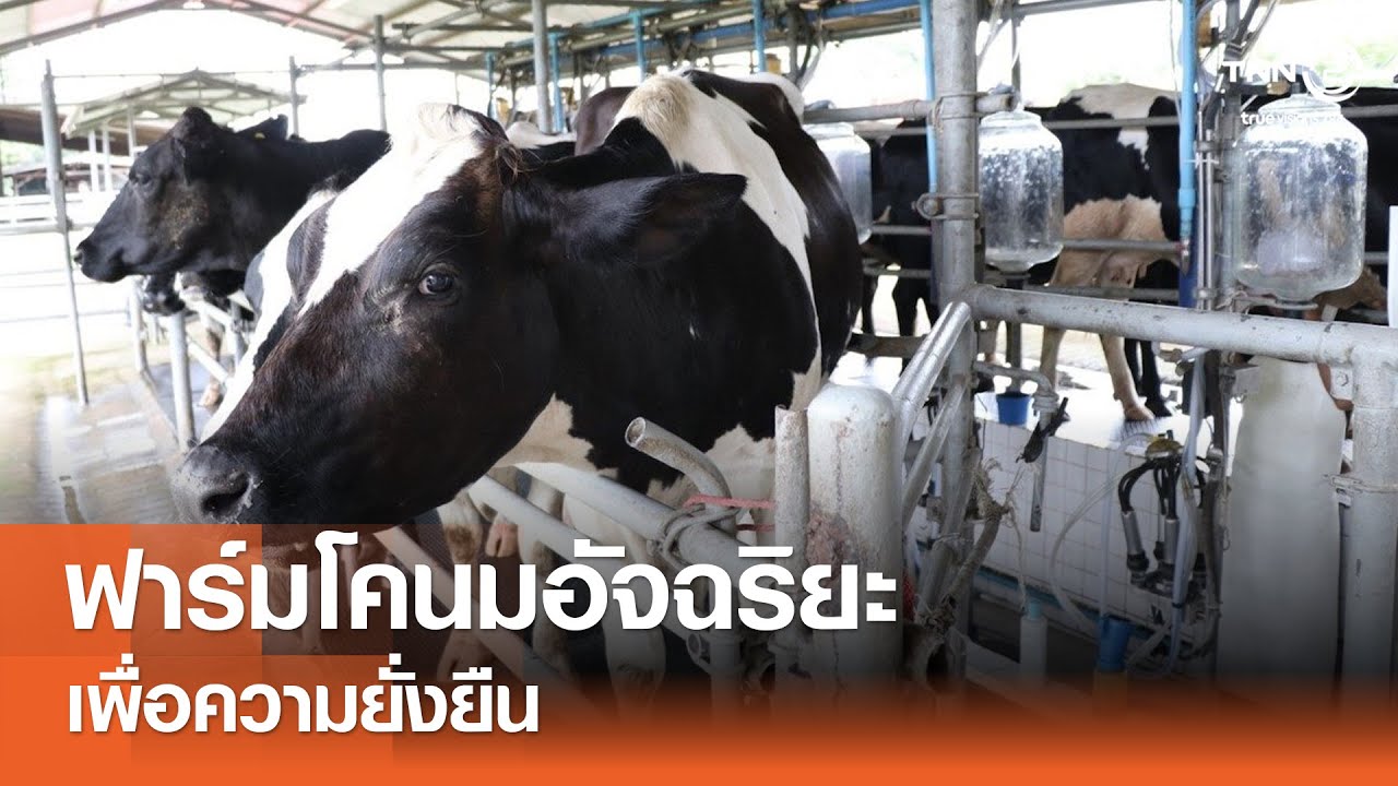 ฟาร์มโคนมอัจฉริยะเพื่อความยั่งยืน⎪คิดเพื่อชาติ⎪01.06.67 - YouTube