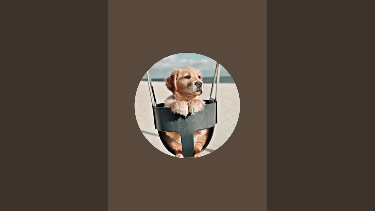 Leah_random posts is live! - YouTube