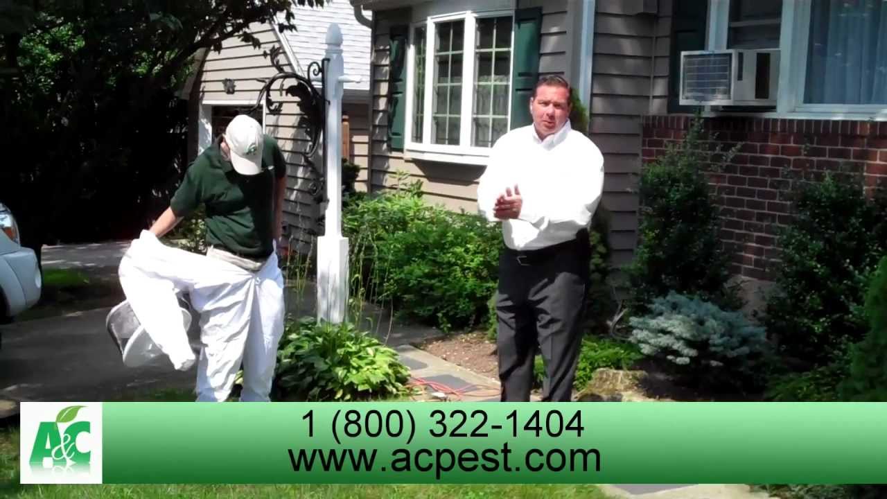 Yellow Jacket Clean Out - YouTube