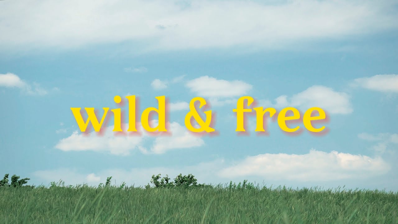 wild & free (lyrics video) - YouTube