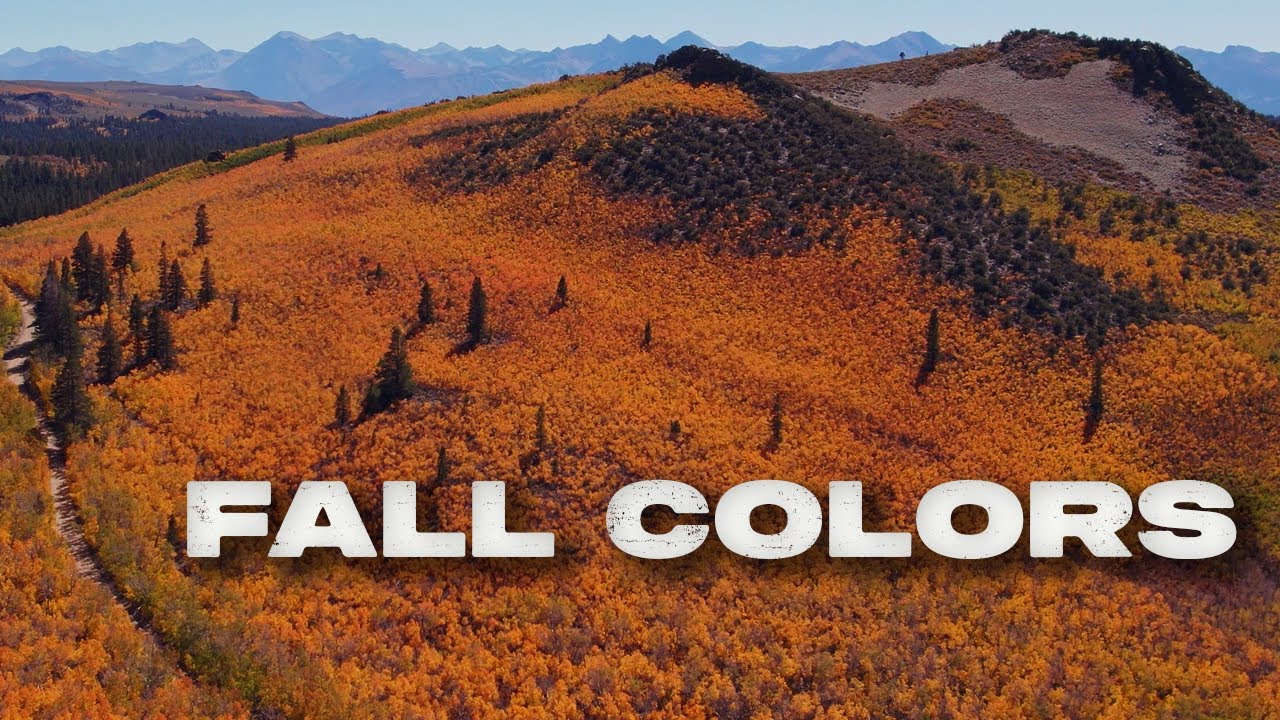 Top 5 Fall Destinations in the Eastern Sierra ~ Best Fall Colors - YouTube