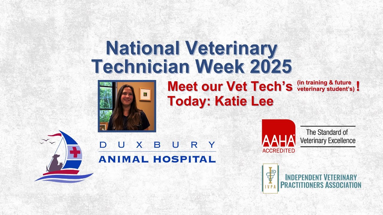 National Veterinary Technician Week 2025 - Meet Katie! - YouTube