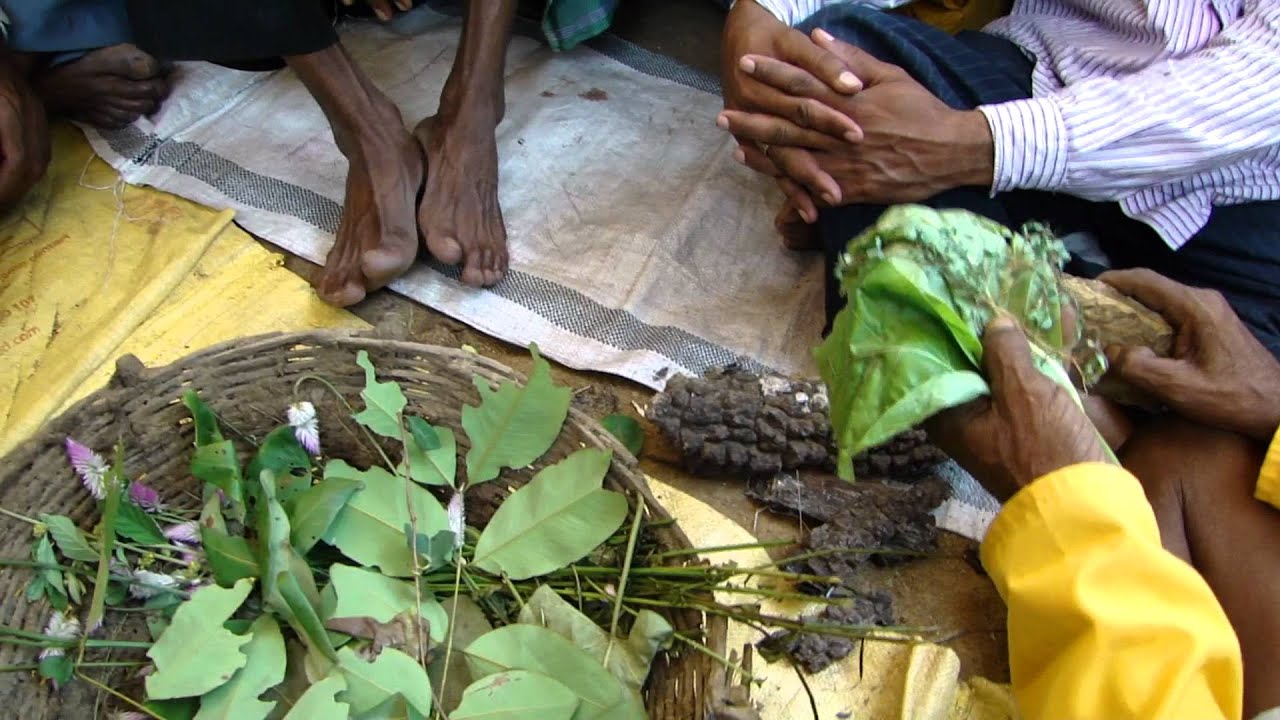 Octonary Ingredients of Saussurea ceratocarpa Formulations: Pankaj ...