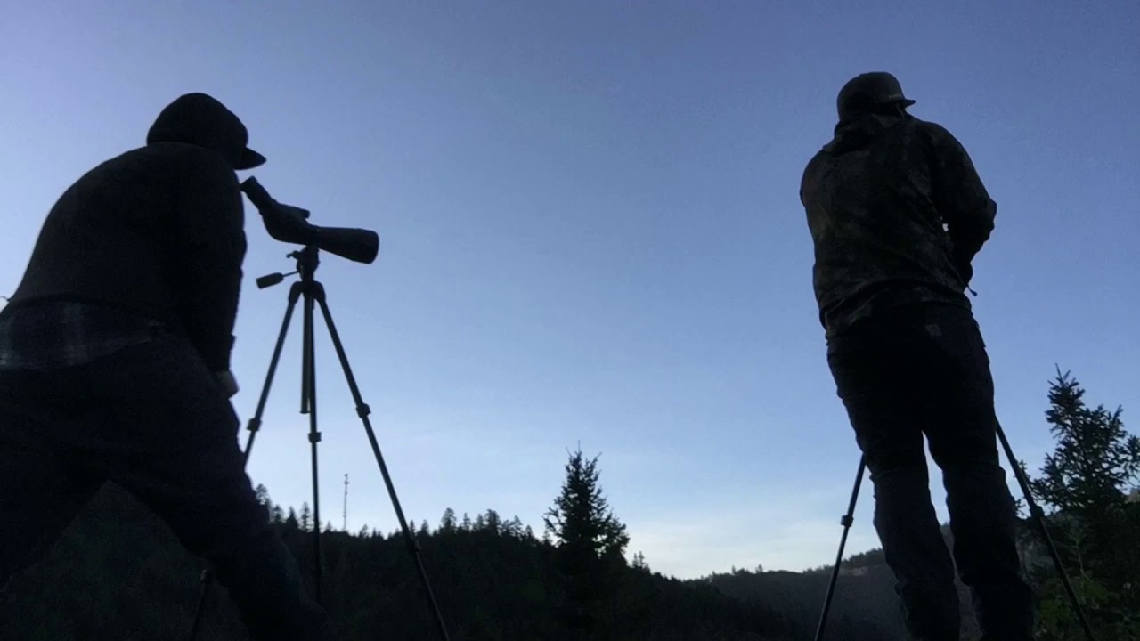 An evening hunt on the Oregon coast - YouTube