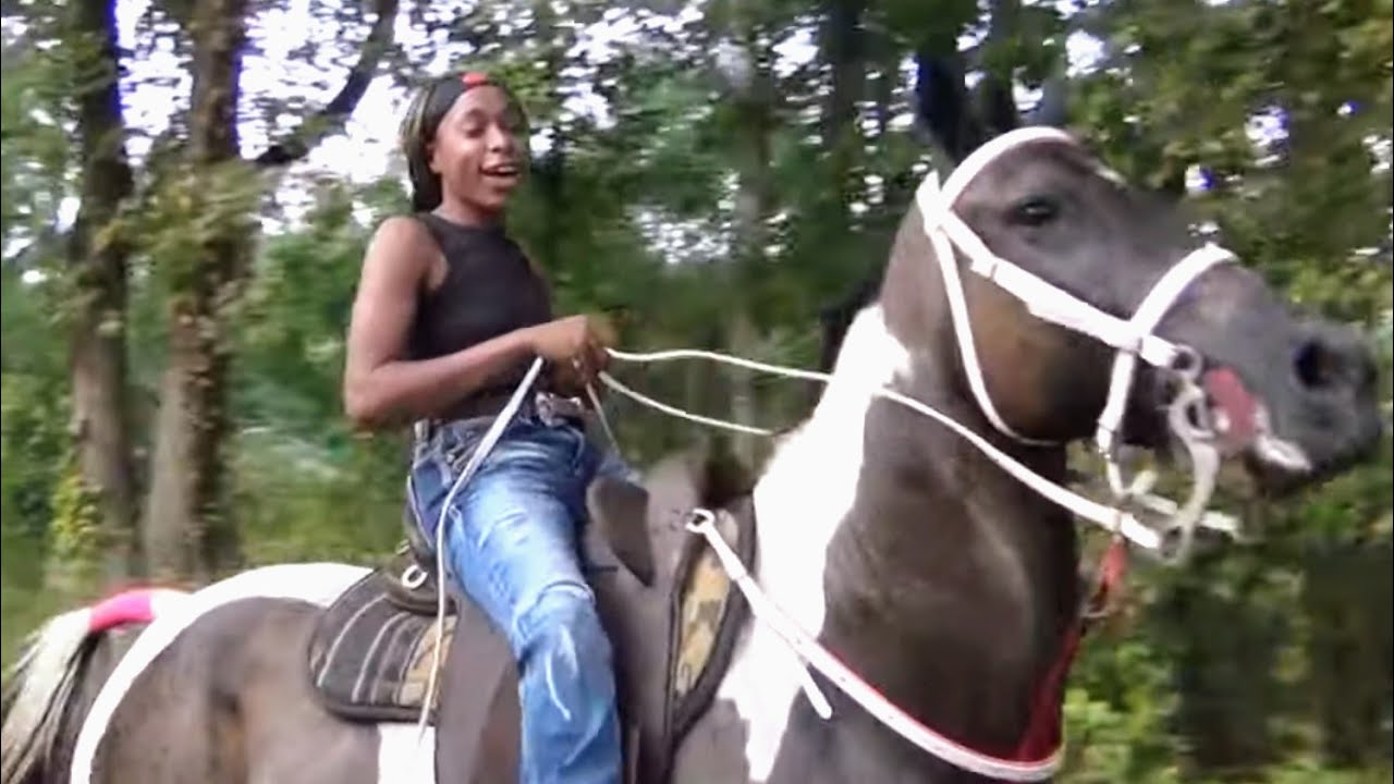 Cass County Gaited Horse Trail Ride and Chili Cook Off - YouTube