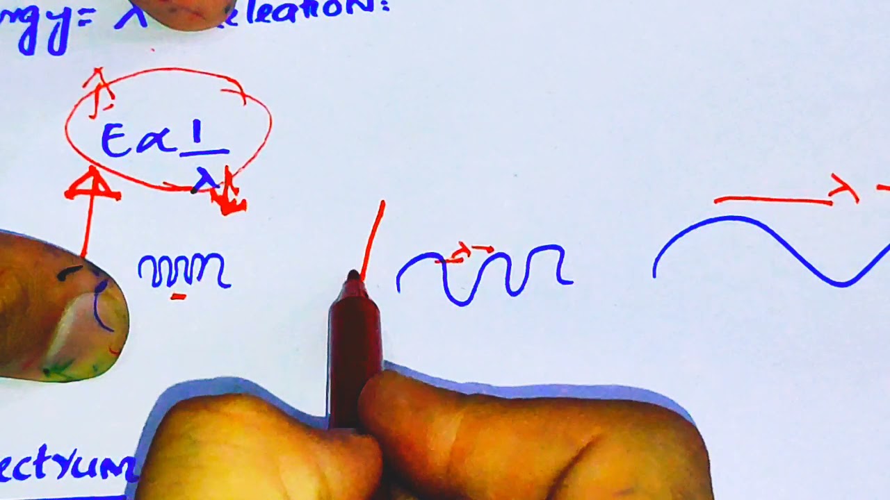 Role Of Sunlight In Photosynthesis Photosynthesis In Hindi light role-of-sunlight-in-photosynthesis-photosynthesis-in-hindi-light