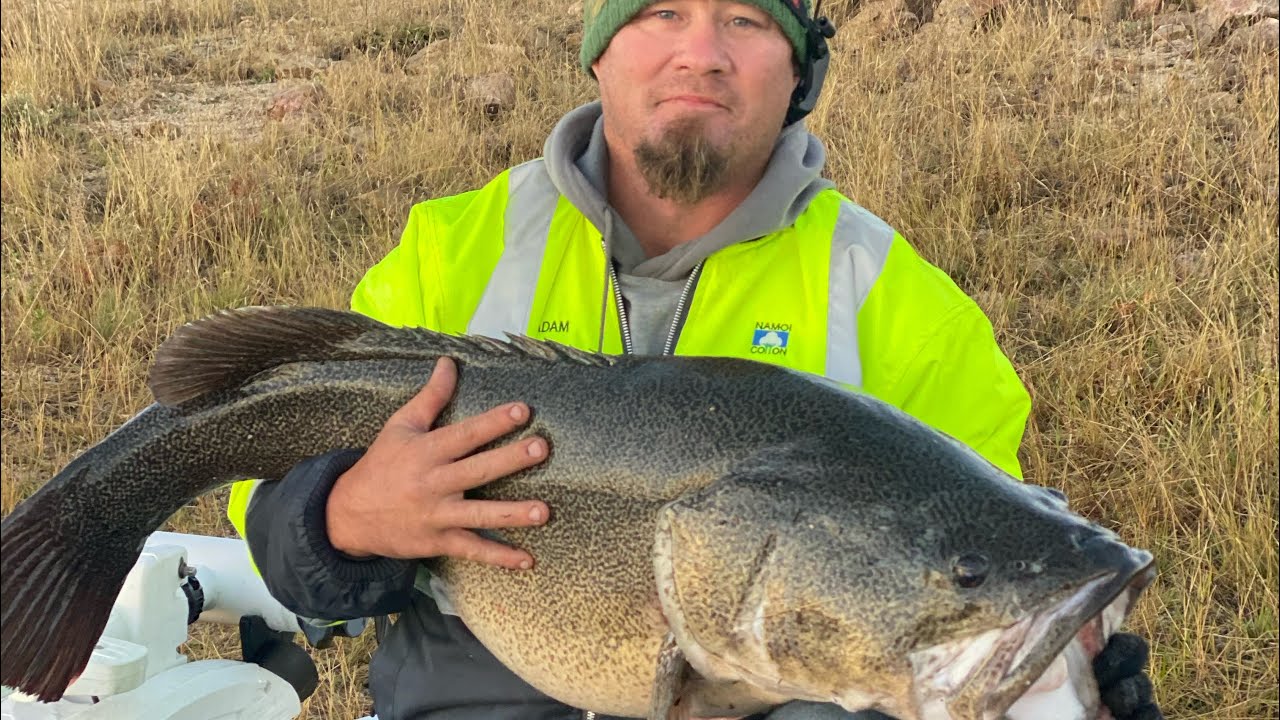 Copeton Dam PB cod 107cm off the surface - YouTube