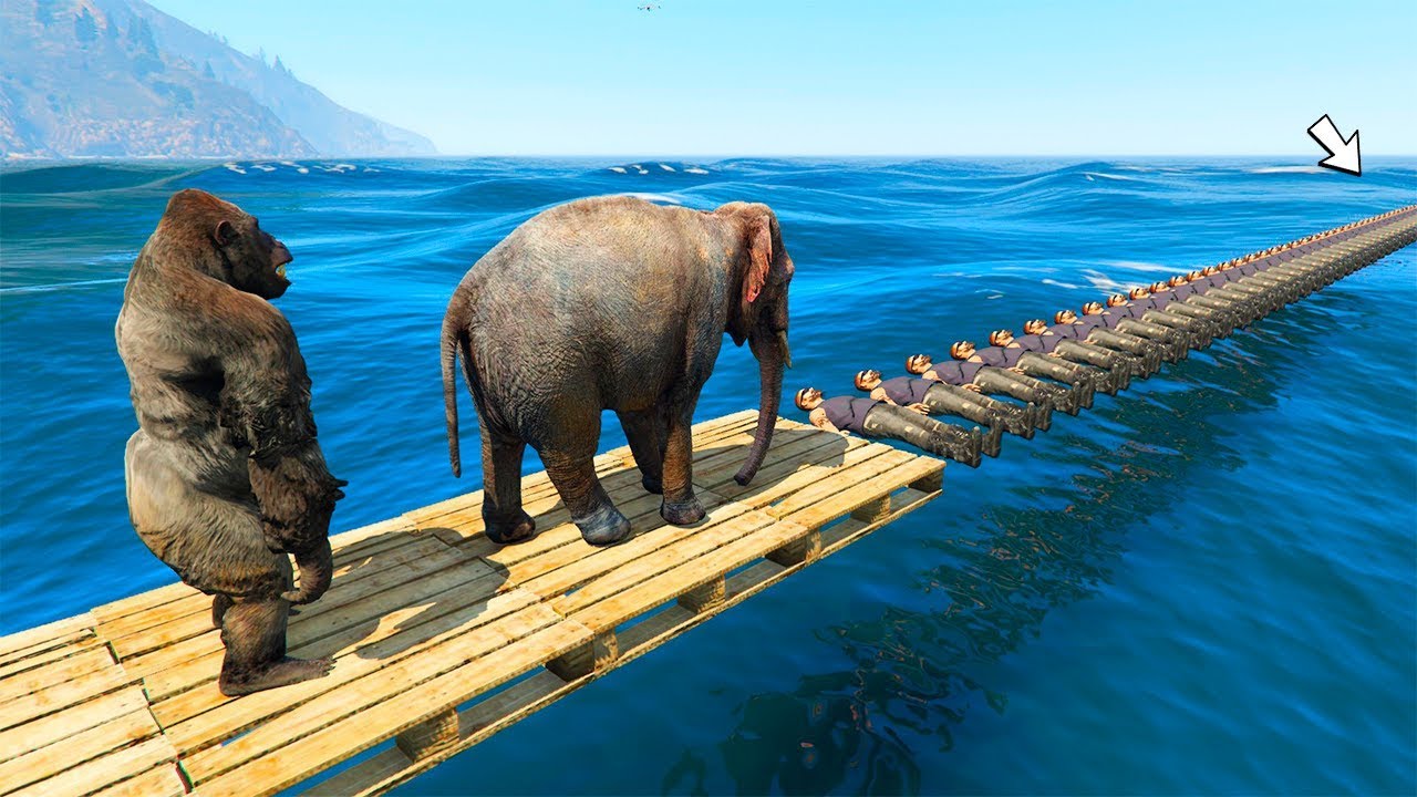 Gorilla & Elephant walks on a human bridge - YouTube