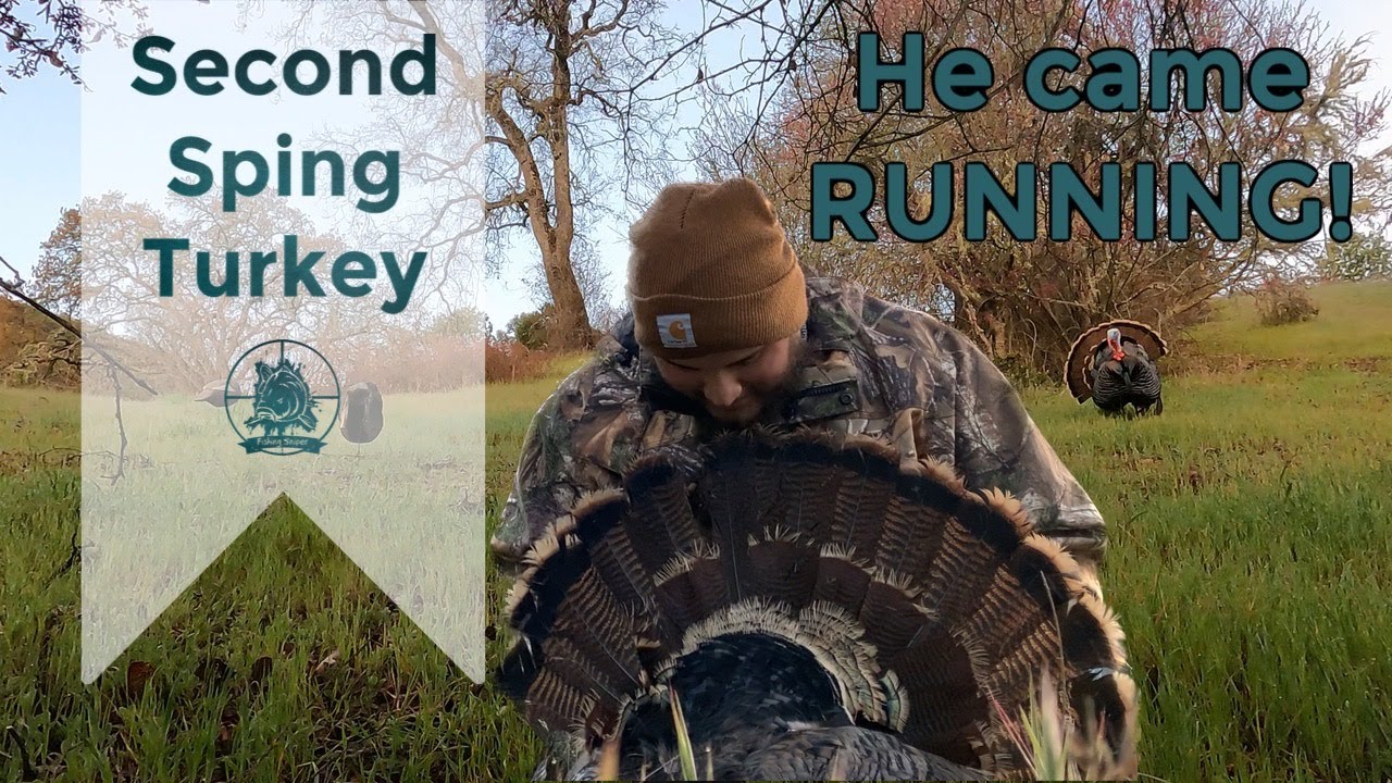 Northern California Turkey Hunting! Second Spring Turkey! - YouTube