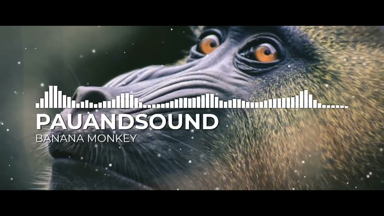 BANANA MONKEY - YouTube