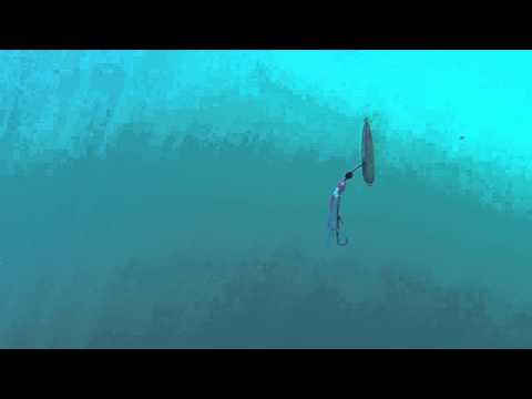 How inchiku lures swims under water