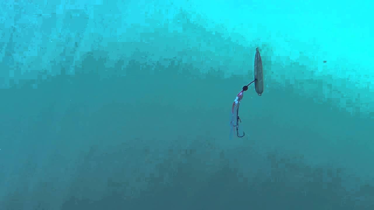 How inchiku lures swims under water - YouTube