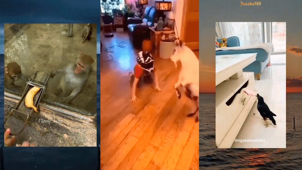 FUNNY FAIL MEMES COMPILATION #8 - YouTube