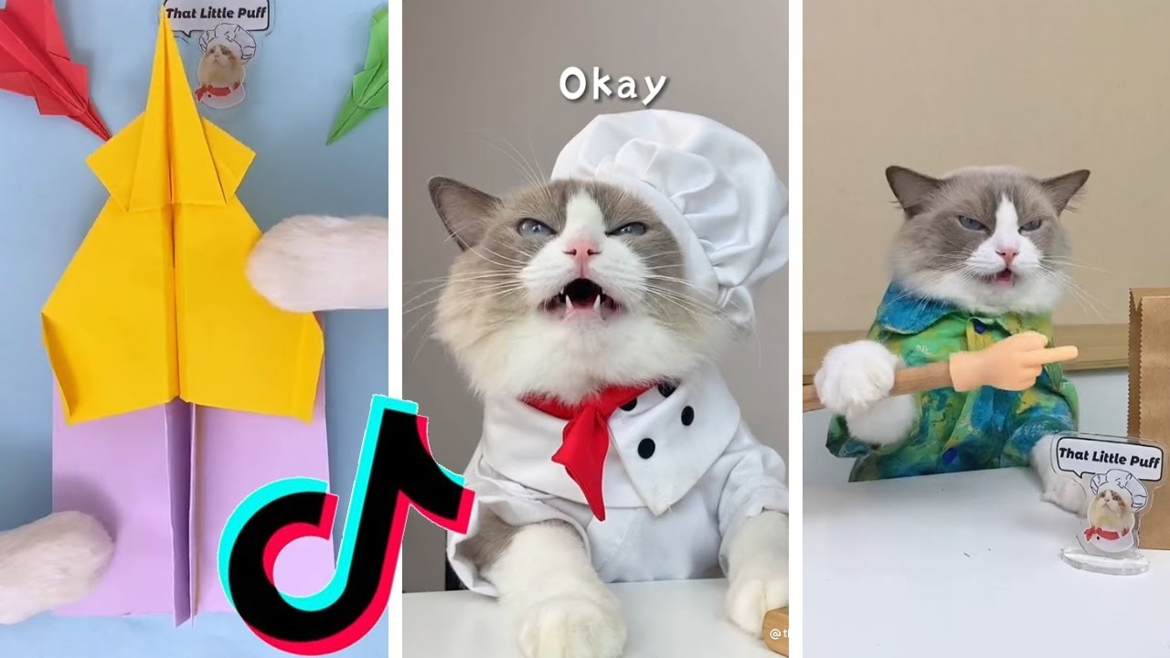 Funny That Little Puff - Funniest Tiktok Compilation in September 2022 ...