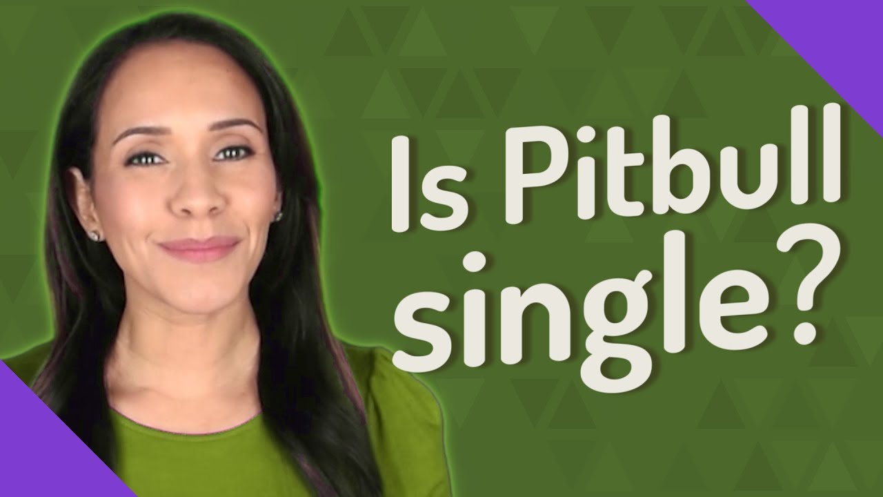 Is Pitbull single? - YouTube