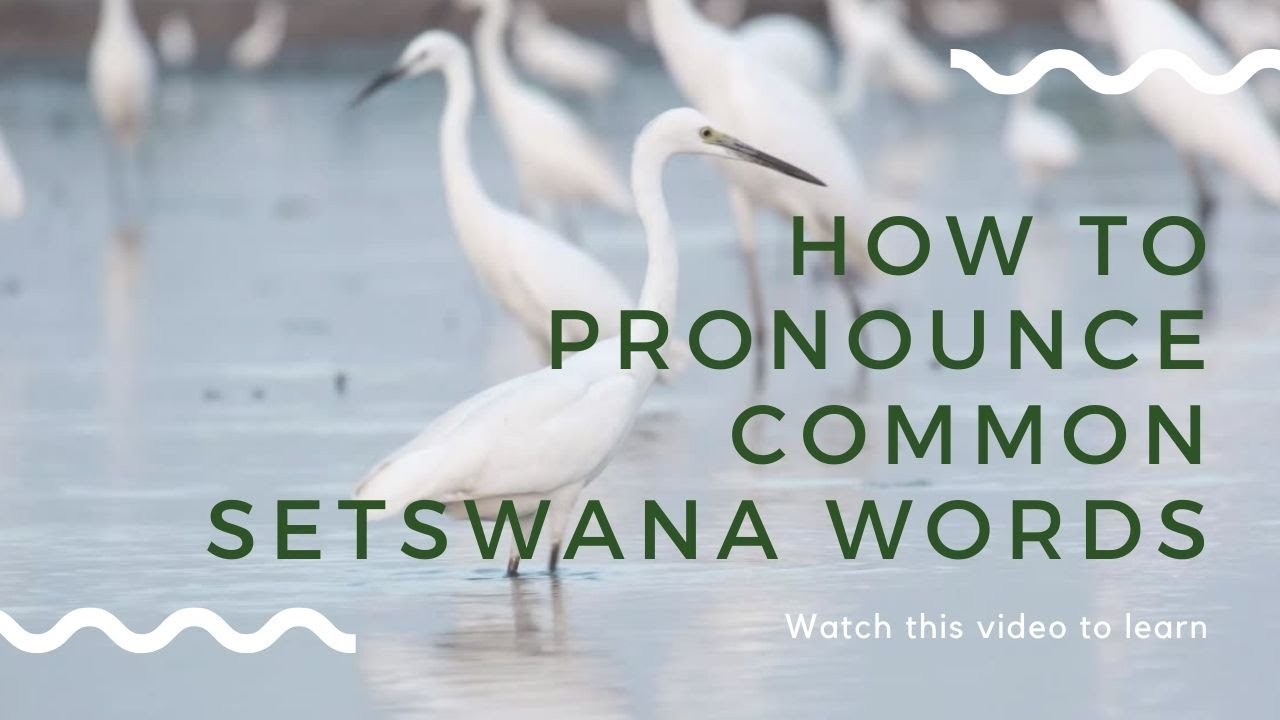 HOW TO PRONOUNCE COMMON SETSWANA WORDS | PHRASES | SOUTH AFRICA - YouTube