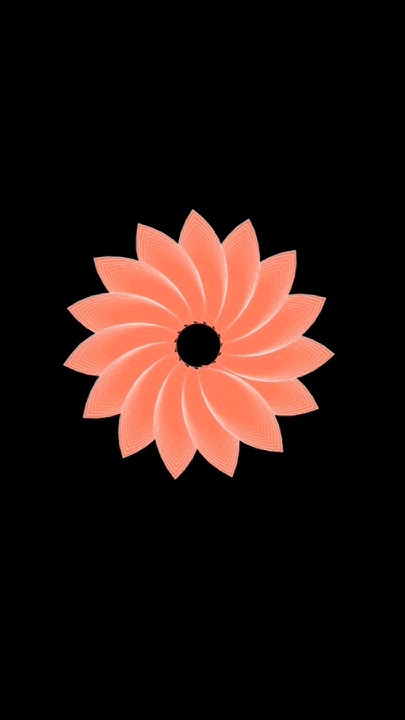 Turtle Python Flower Python Pythoncode Practice Code Pythonprograms Turtlepython