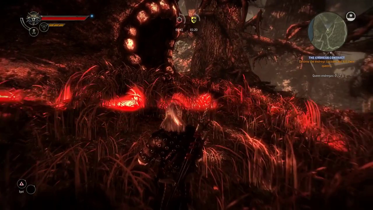 The Witcher 2 Assassin's of Kings Enhanced Edition the endrega contract ...