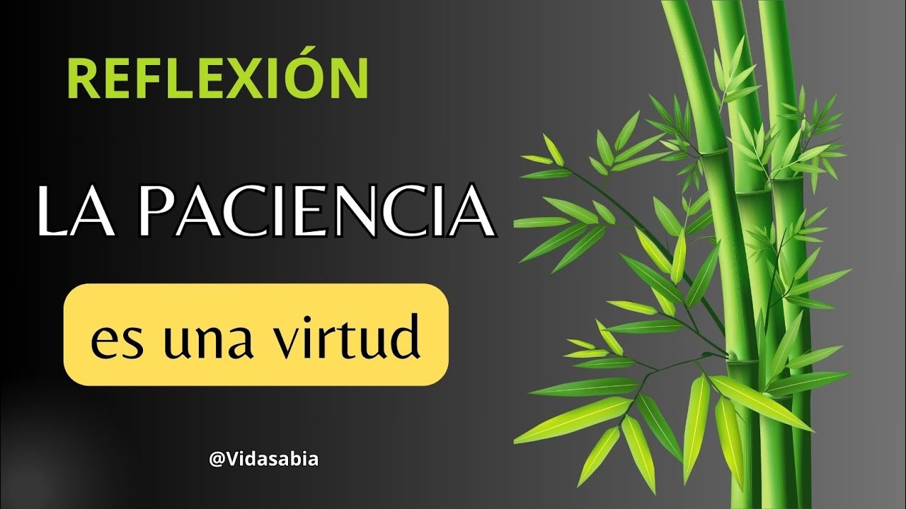 LA Reflexión del BAMBÚ JAPONÉS _ UNA REFLEXION Para Toda La VIDA_ - YouTube