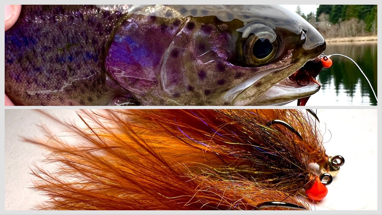 Thanksgiving weekend fish caught on a Thanksgiving inspired fly! - YouTube