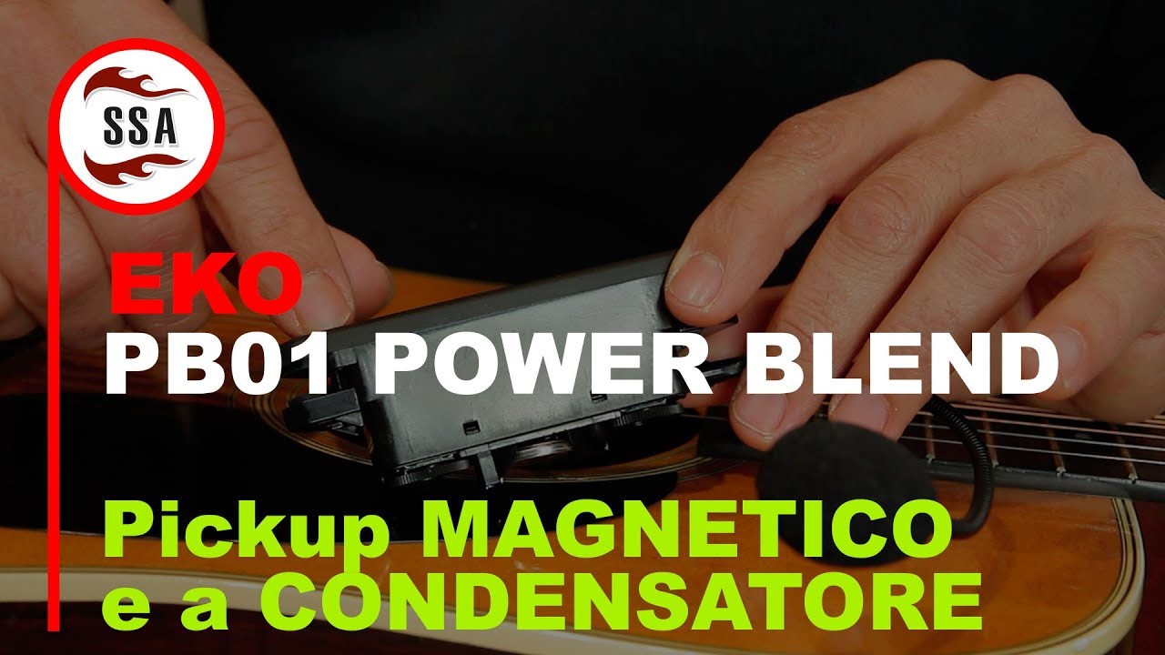 Eko PB01: un pickup professionale per chitarra acustica per un grande ...