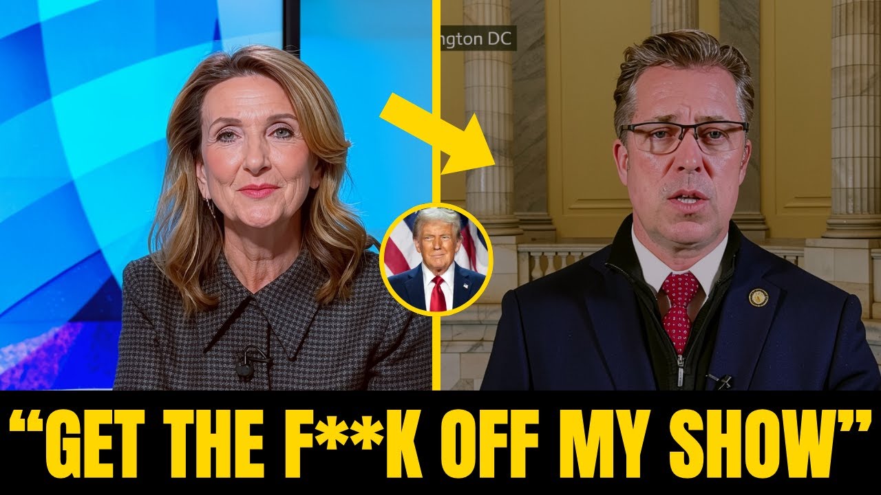 British Journalist HUMILIATES MAGA Sycophant In Real Time — Panel ...