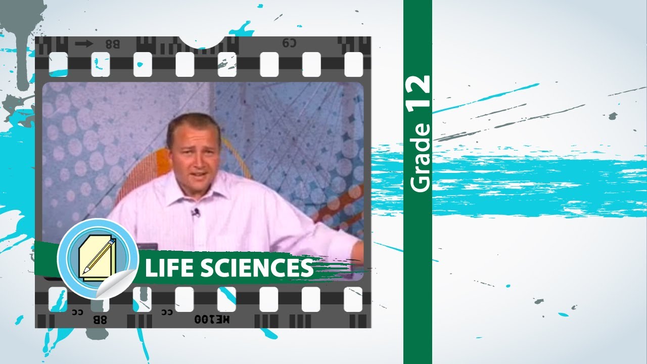 Human Evolution - YouTube