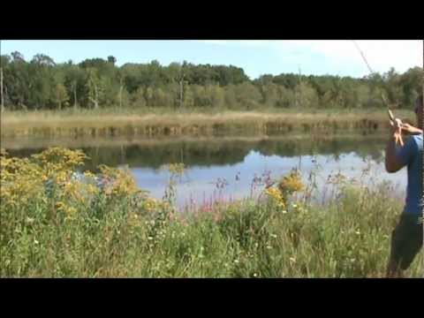 farm pond bass fishing Massachusetts - YouTube