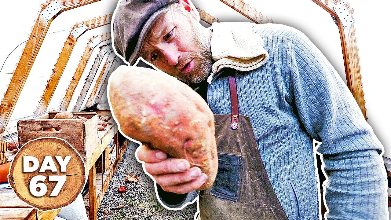 Home - Abundant Permaculture