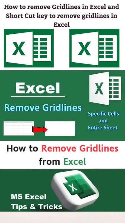 How To Remove Gridlines From Excel With Shortcut! #excelgyan #exceltech #ytshorts #shortvideo ...