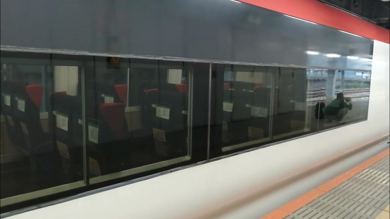 JR東日本E259系横クラNe011編成旧塗装+横クラNe005編成新塗装2241M総武線特急成田エクスプレス41号成田空港行き新宿駅16時08分発車(急停車後ミュージックホーンあり ...