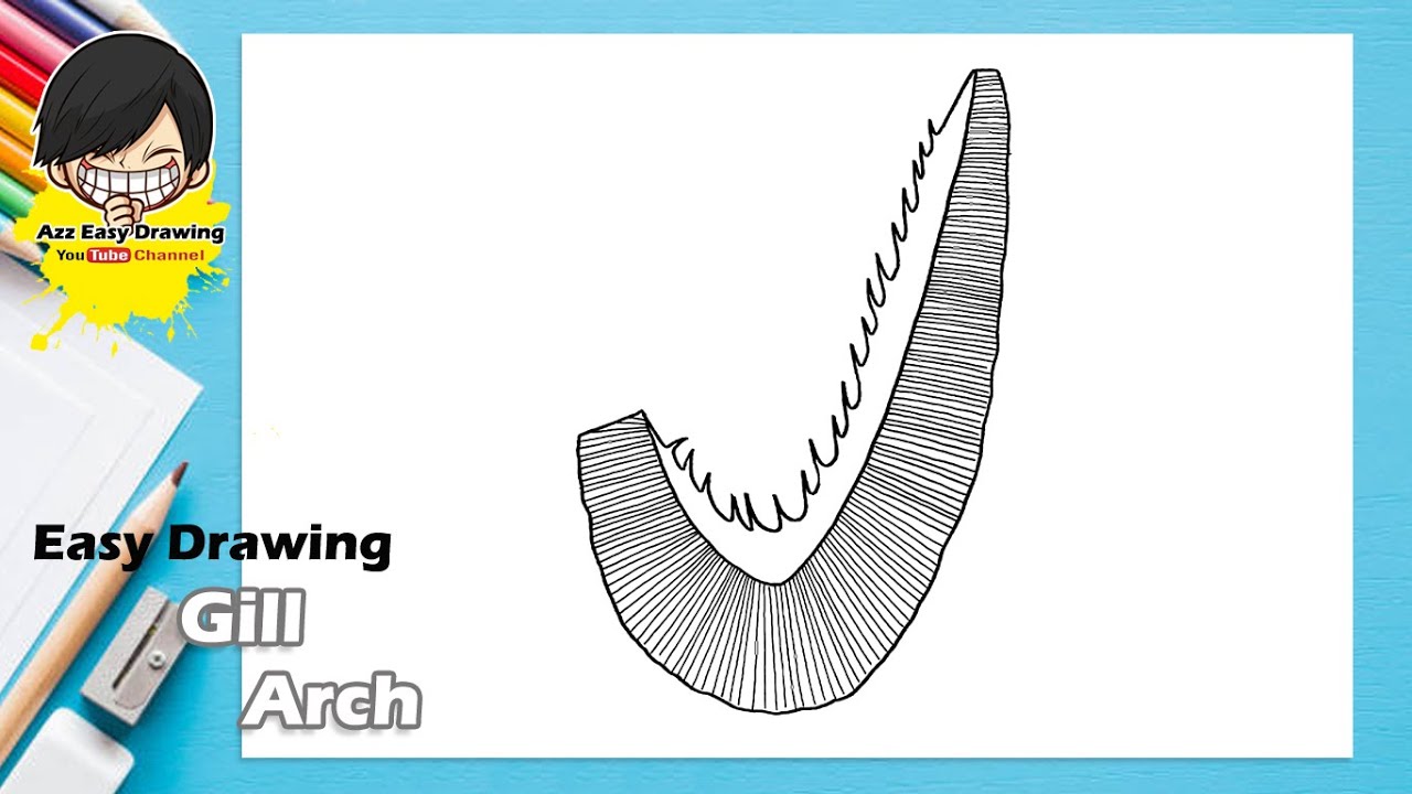 Easy Gill Arch Drawing - YouTube