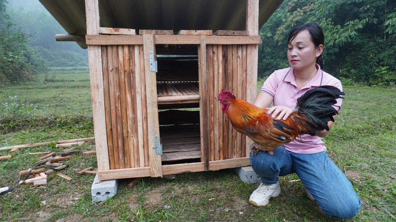 Chicken house wooden construction techniques - Green forest life ...