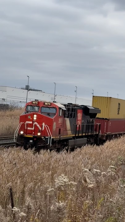 100th ANNIVERSARY! CN 3879 leads CN 102 - YouTube