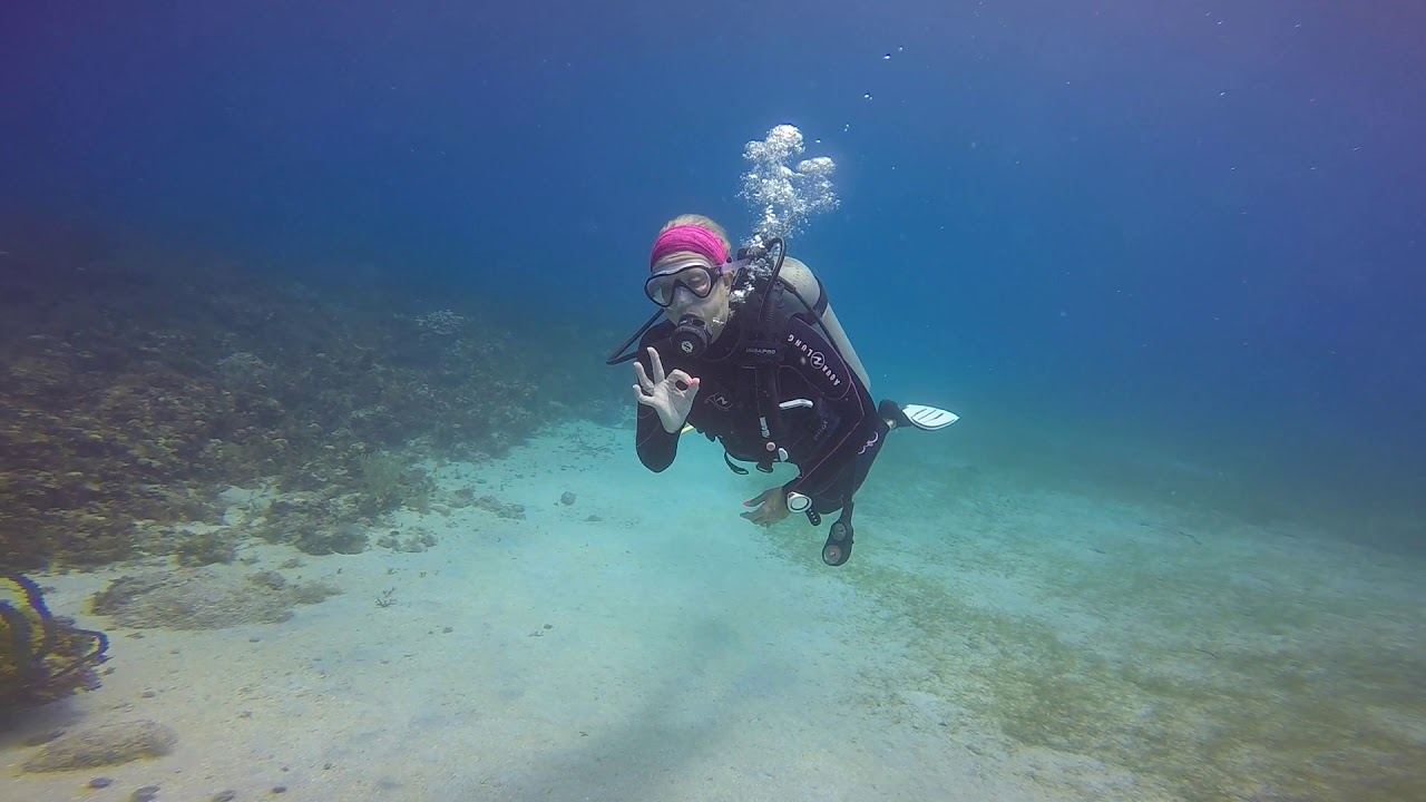 Scuba Diving with Couples Tower Isle - September 2019 - YouTube