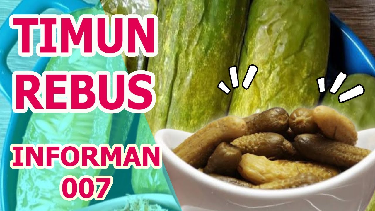 MANFAAT TIMUN REBUS UNTUK KESEHATAN - YouTube