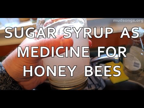 Can Bees Make Honey From Sugar Syrup