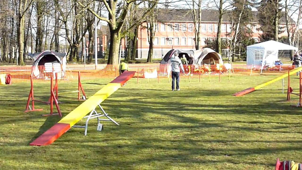 Remus und Sandra - Agility-Turnier Mönchengladbach am 19.03.2011 - YouTube