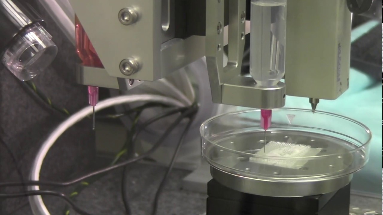 Tissue Engineering - Bioprinting Ear Tissue Construct - YouTube
