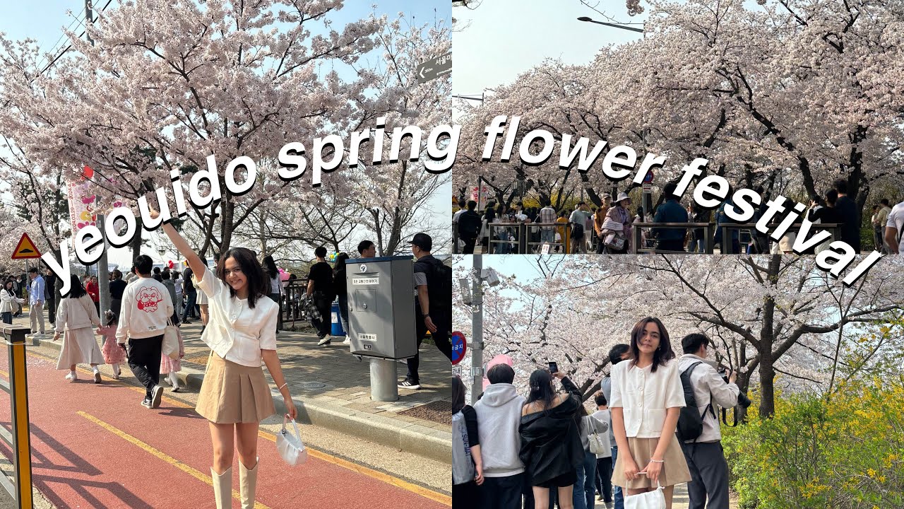 yeouido spring flower festival vlog - spring in Seoul , my first time seeing cherry blossoms 🌸🎀 ...