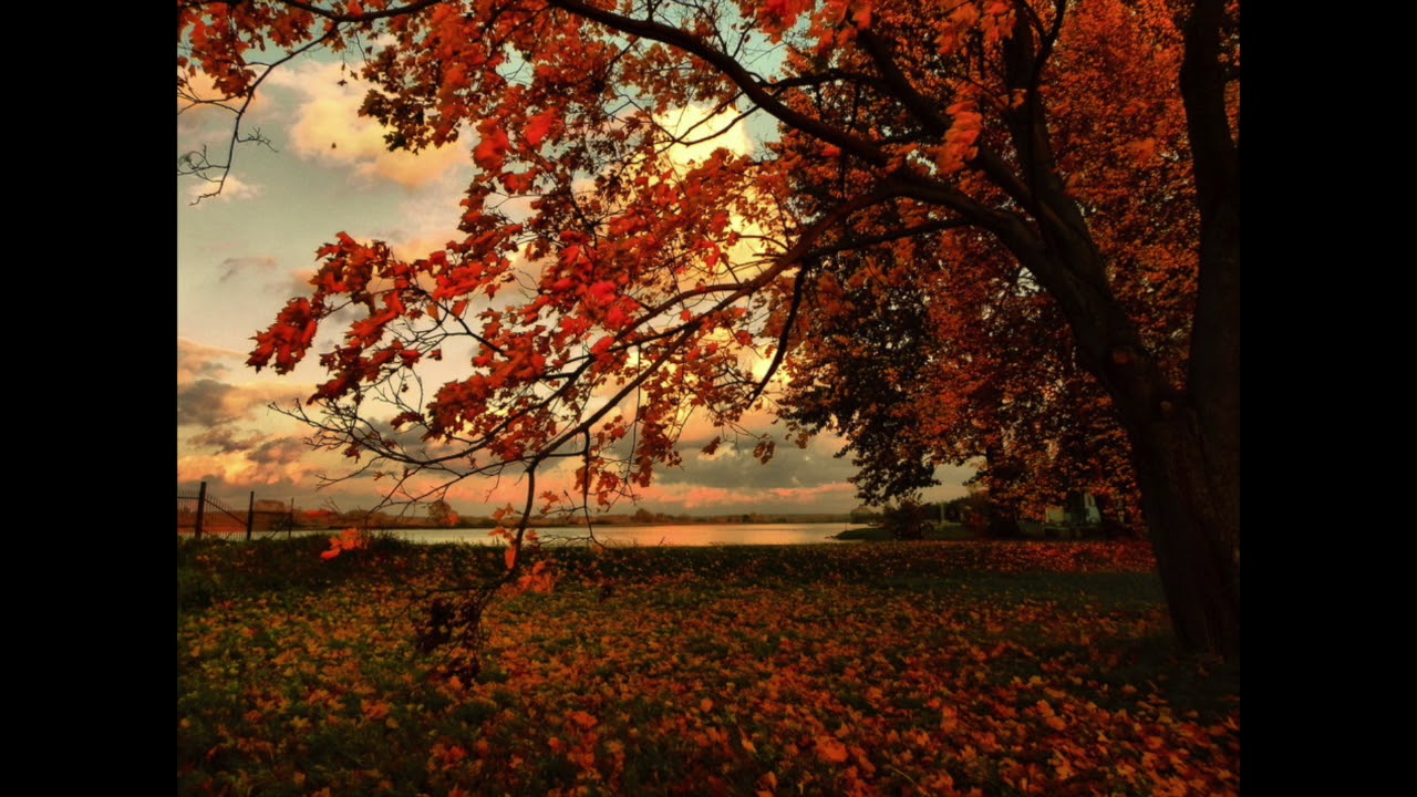 October of my life - YouTube