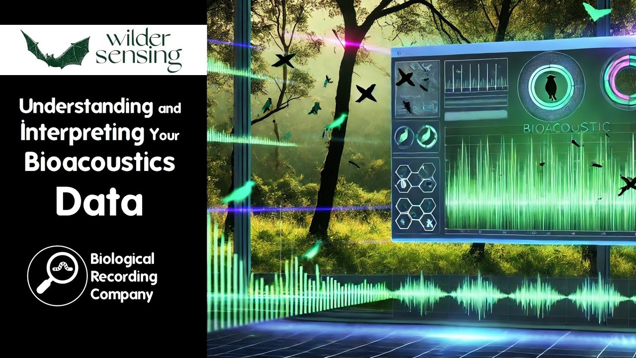 Understanding and Interpreting Your Bioacoustics Data - YouTube
