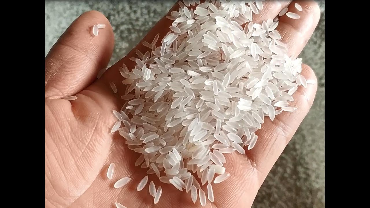 Full automatic nutritional rice plant instant rice making machine - YouTube