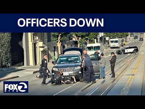 San Francisco Trader Joe's theft suspect killed by car as he fled, 2 officers struck | KTVU