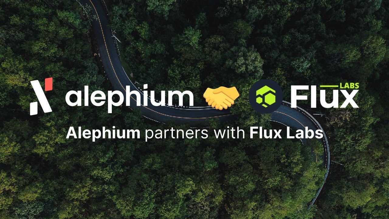 HOW TO SETUP A ALEPHIUM NODE ON FLUX - YouTube