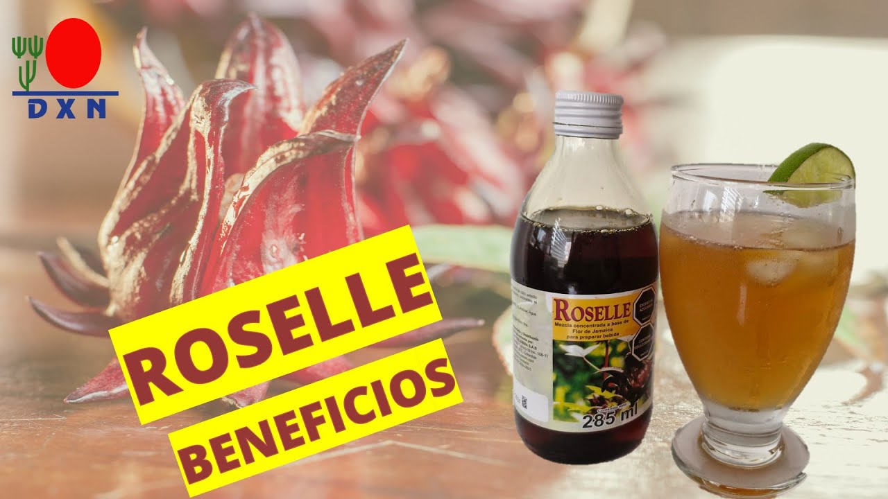 Capacitacion corporativa del ROSELLE DE DXN/Julio 2024 - YouTube