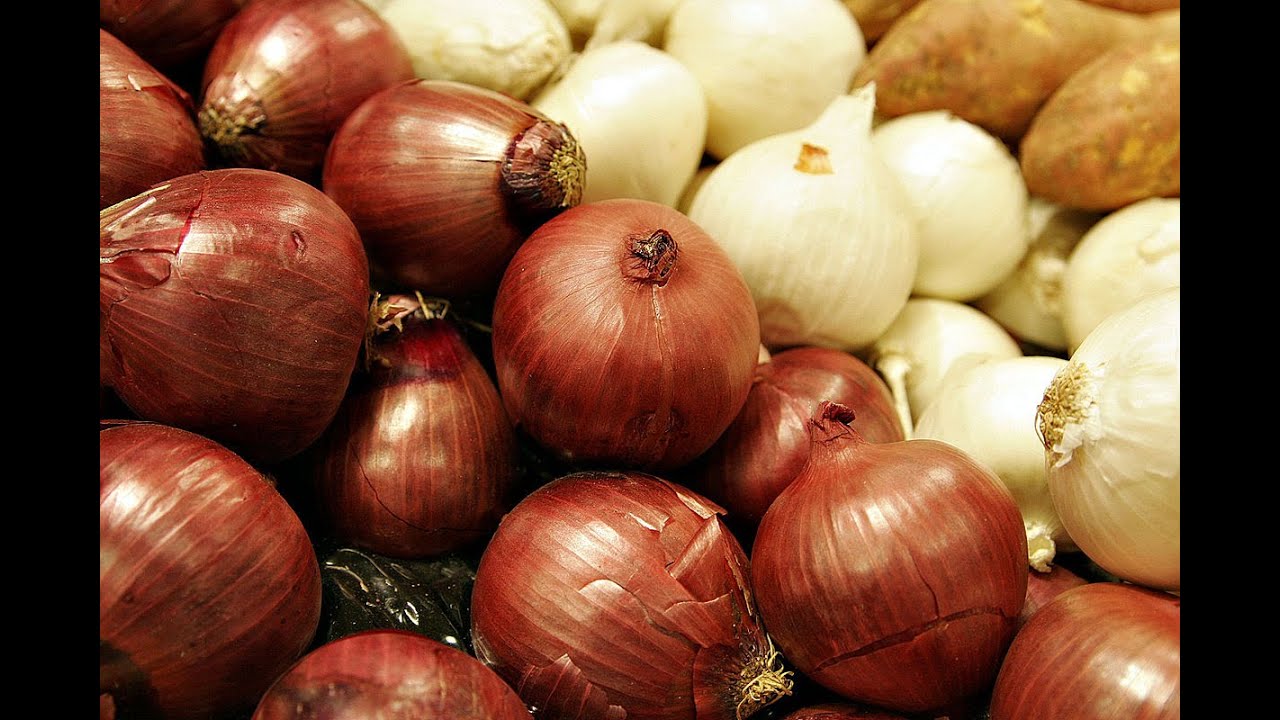 MEN KI ENPOTANS ZONYON GENYEN - YouTube