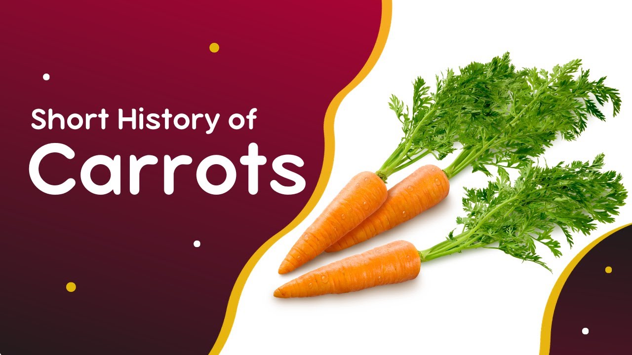 Short History of Carrots - YouTube