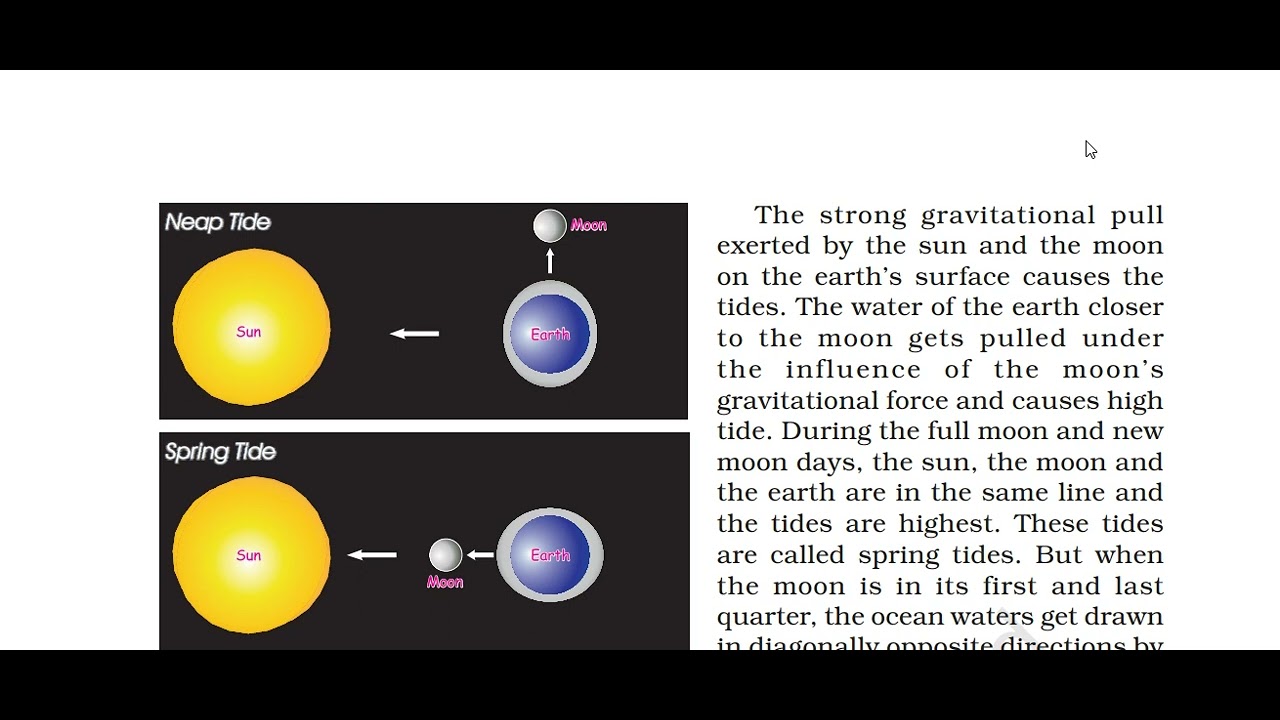 ncert line by line reading class 7 geography chapter 5 #upsc#uppcs# ...
